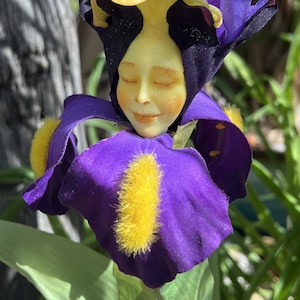 MUSING IRIS Alice in Wonderland (non) Talking Flowers for Parties ...