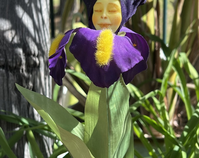 MUSING IRIS Alice in Wonderland (non) Talking Flowers for Parties ...