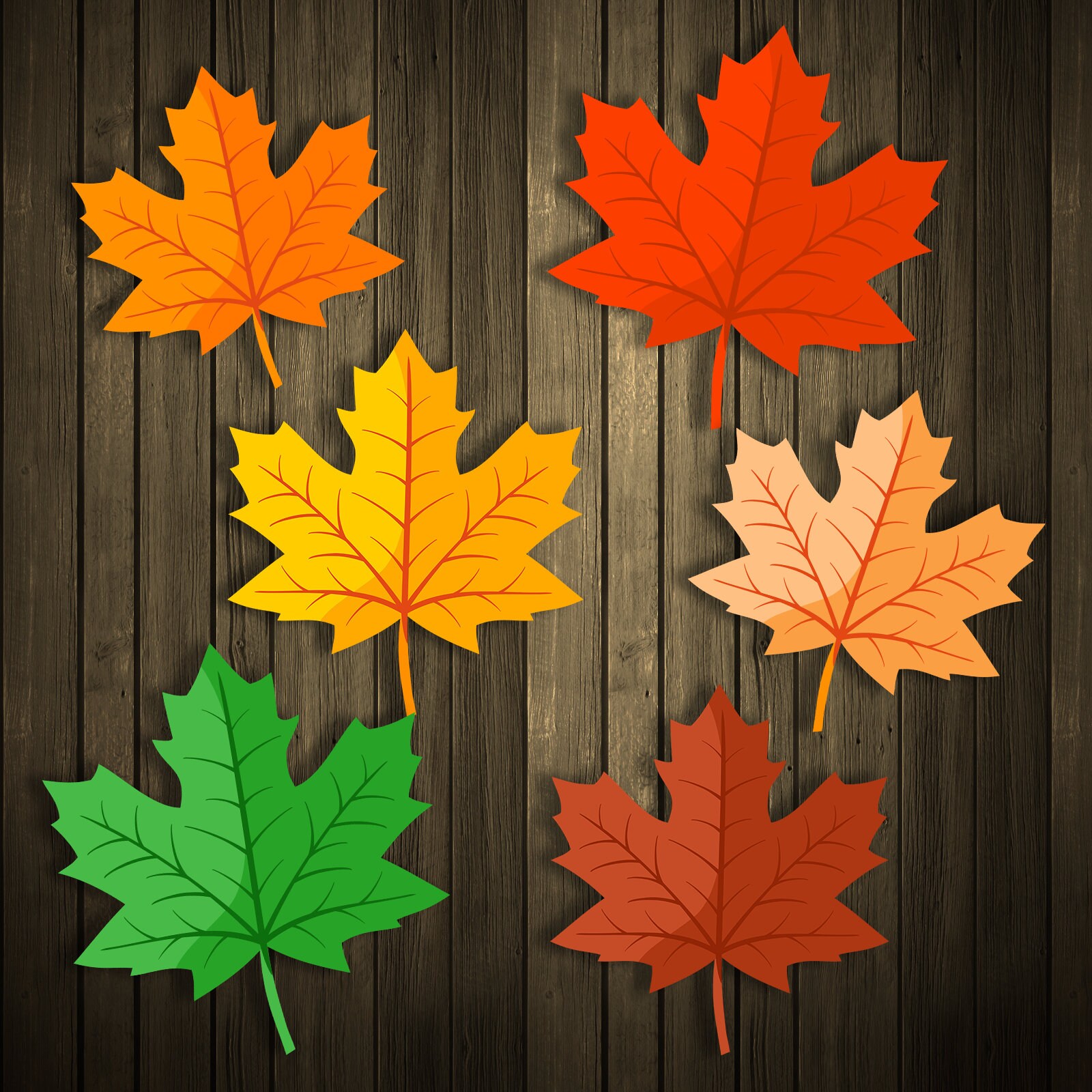 Maple Autumn Leaves SVG Files Printable Crafts and Sublimation Vector ...