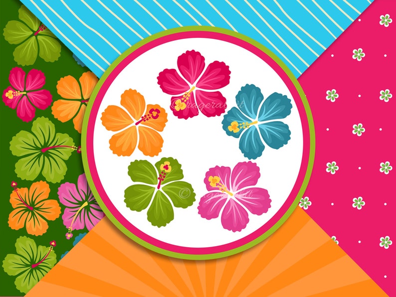 Summer Digital Paper Set With Hibiscus Flowers Clip Arts, Backgrounds ...