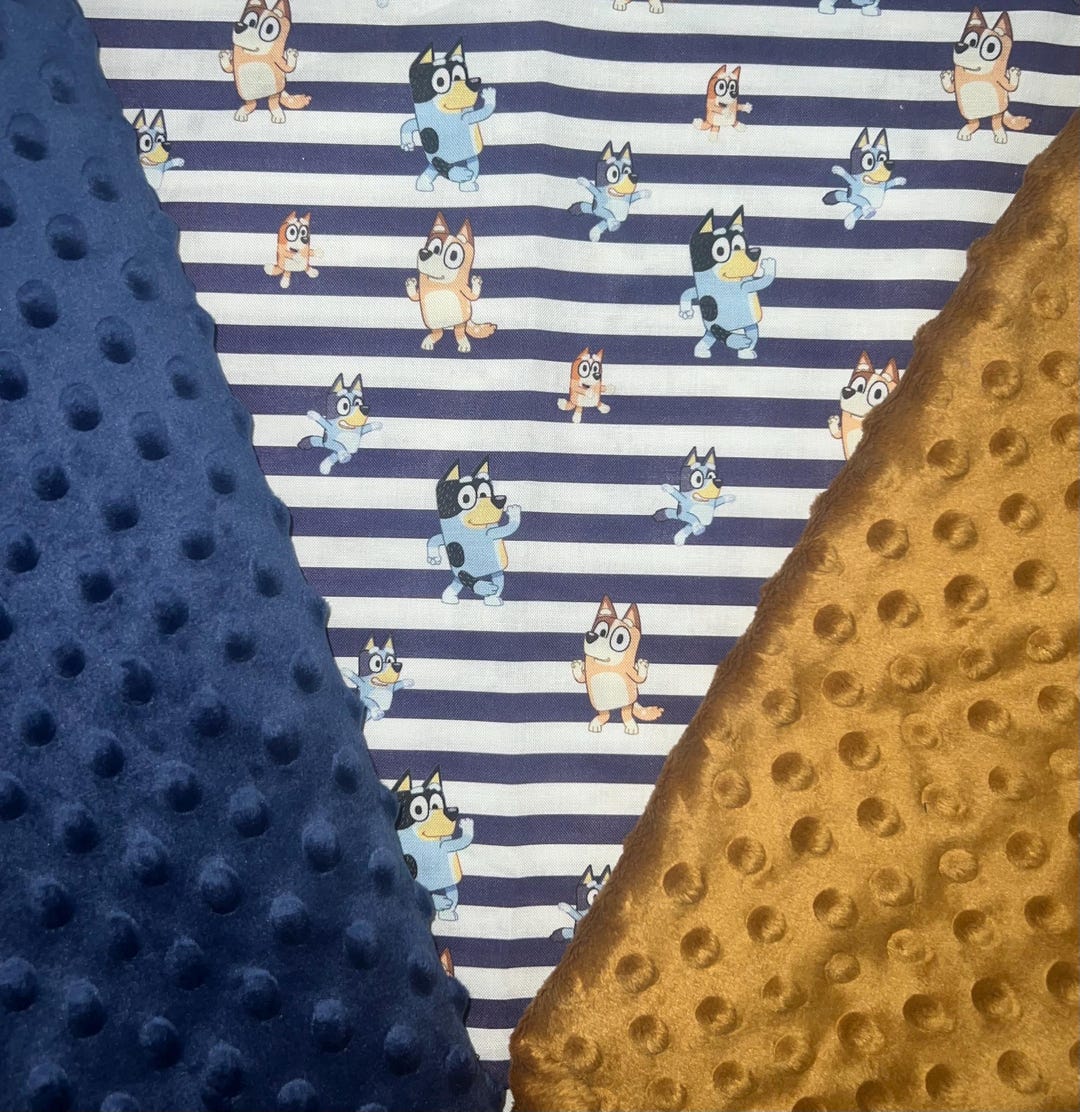 Personalized Bluey Dance Blanket - Etsy
