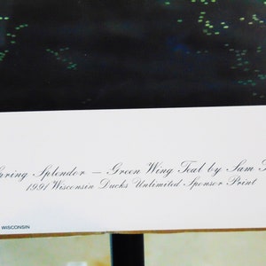 Duck Print by Sam Timm, Sam Timm Art, Duck Painting, Sam Timm Green ...