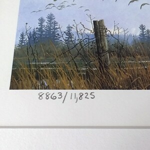 1984 Oregon Waterfowl Stamp Print, Oregon Duck Stamp Print, Michael ...