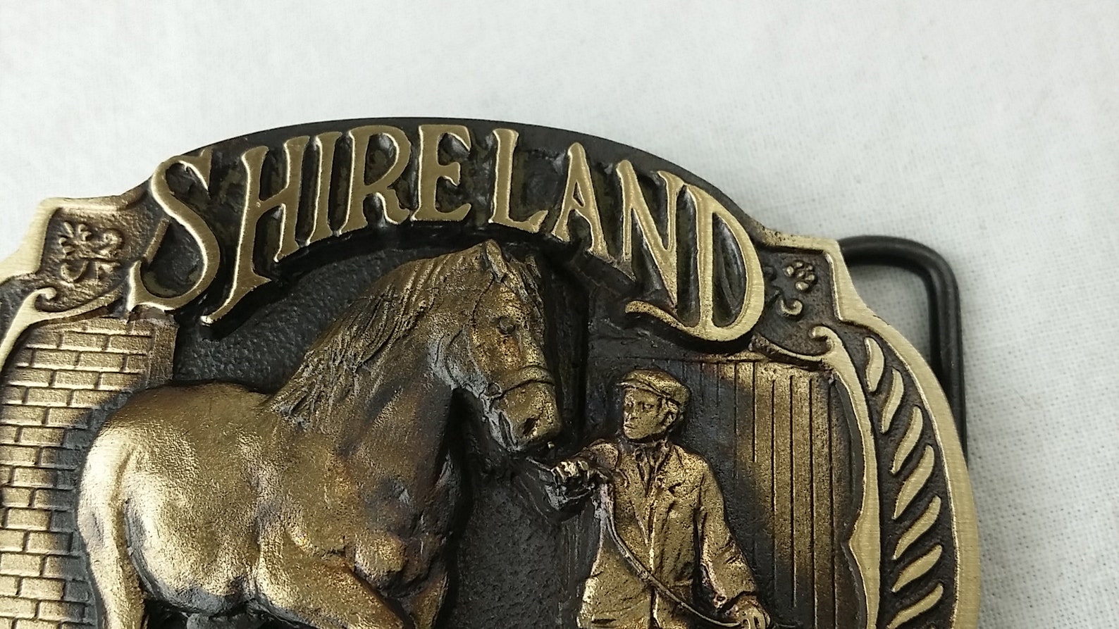 Shireland Theme Park Vintage Western Belt Buckle Chicago | Etsy