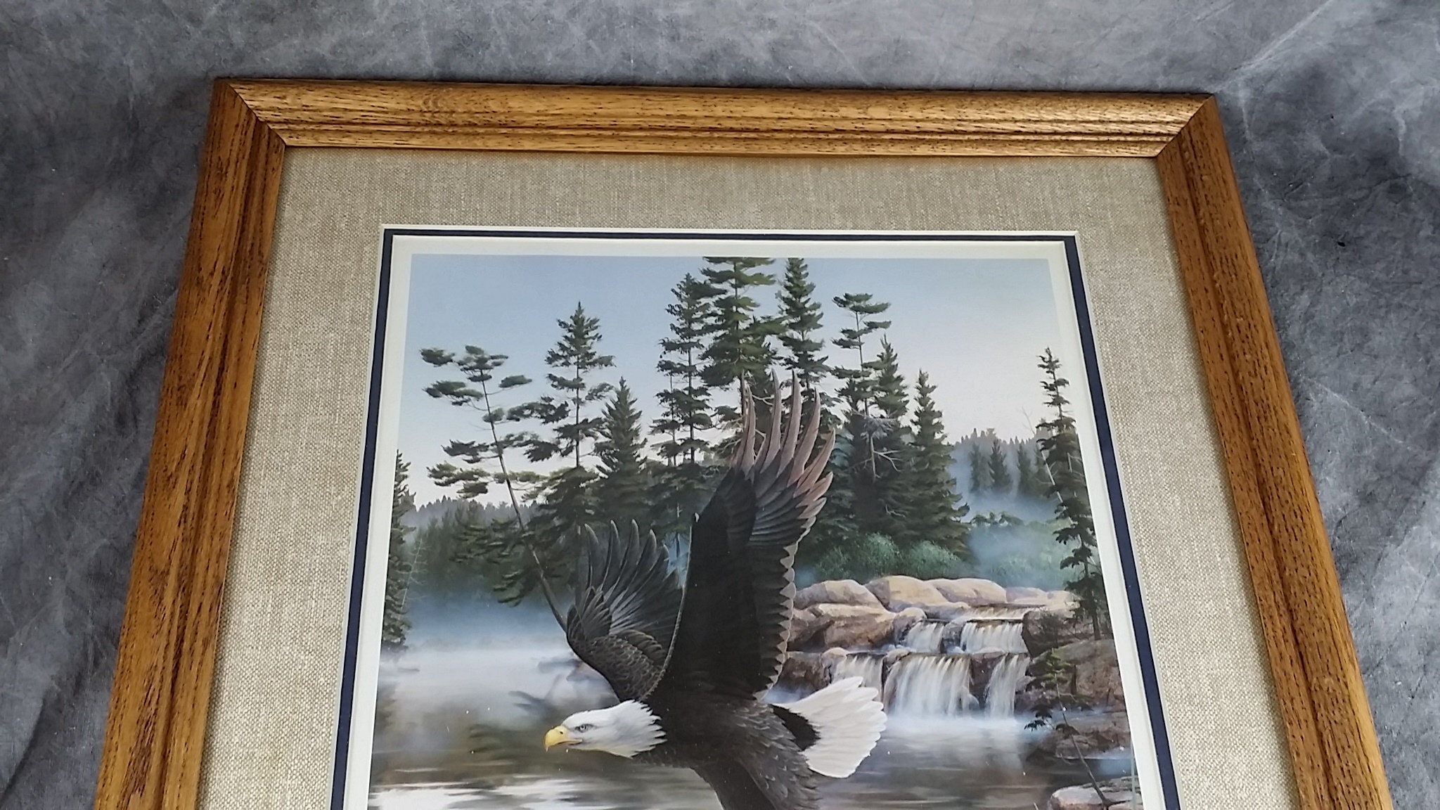 1990 National Parks Series Wildlife Print, Leo Stans Art, Boundry ...