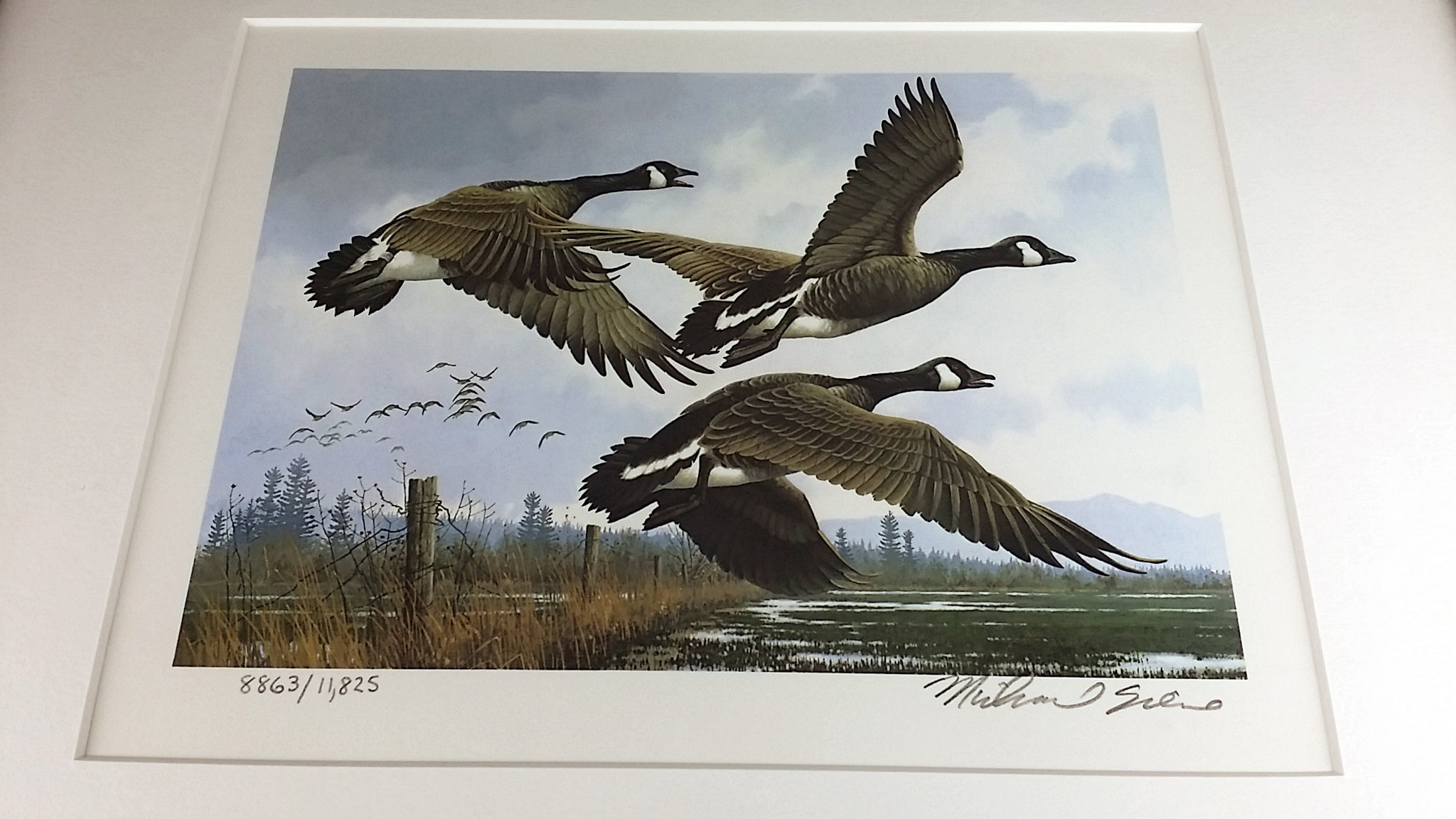1984 Oregon Waterfowl Stamp Print Oregon Duck Stamp Print - Etsy