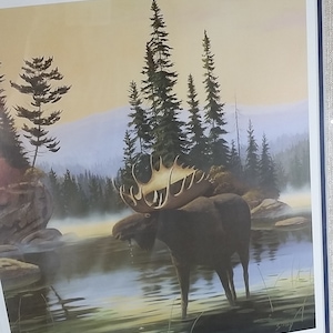 1991 National Parks Series Wildlife Print, Leo Stans Art, Summer ...