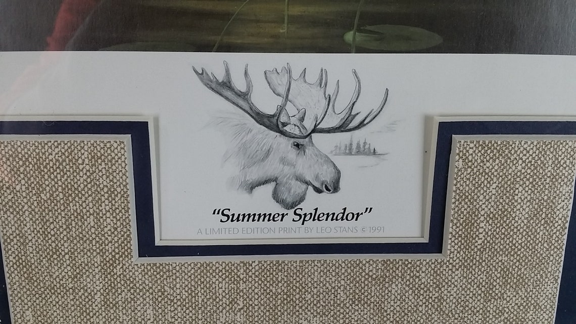 1991 National Parks Series Wildlife Print, Leo Stans Art, Summer ...