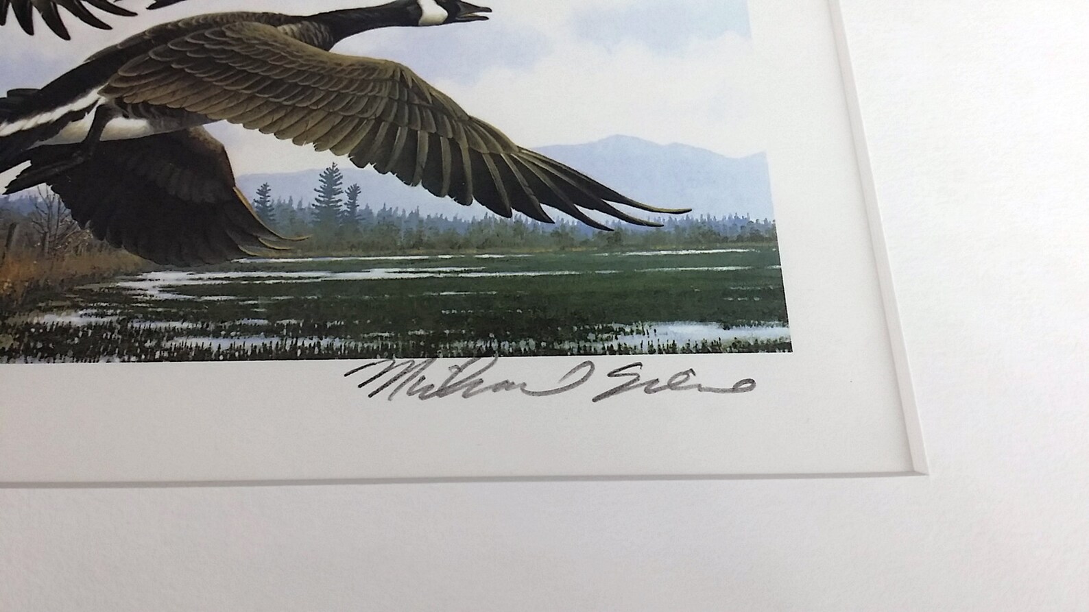1984 Oregon Waterfowl Stamp Print Oregon Duck Stamp Print - Etsy