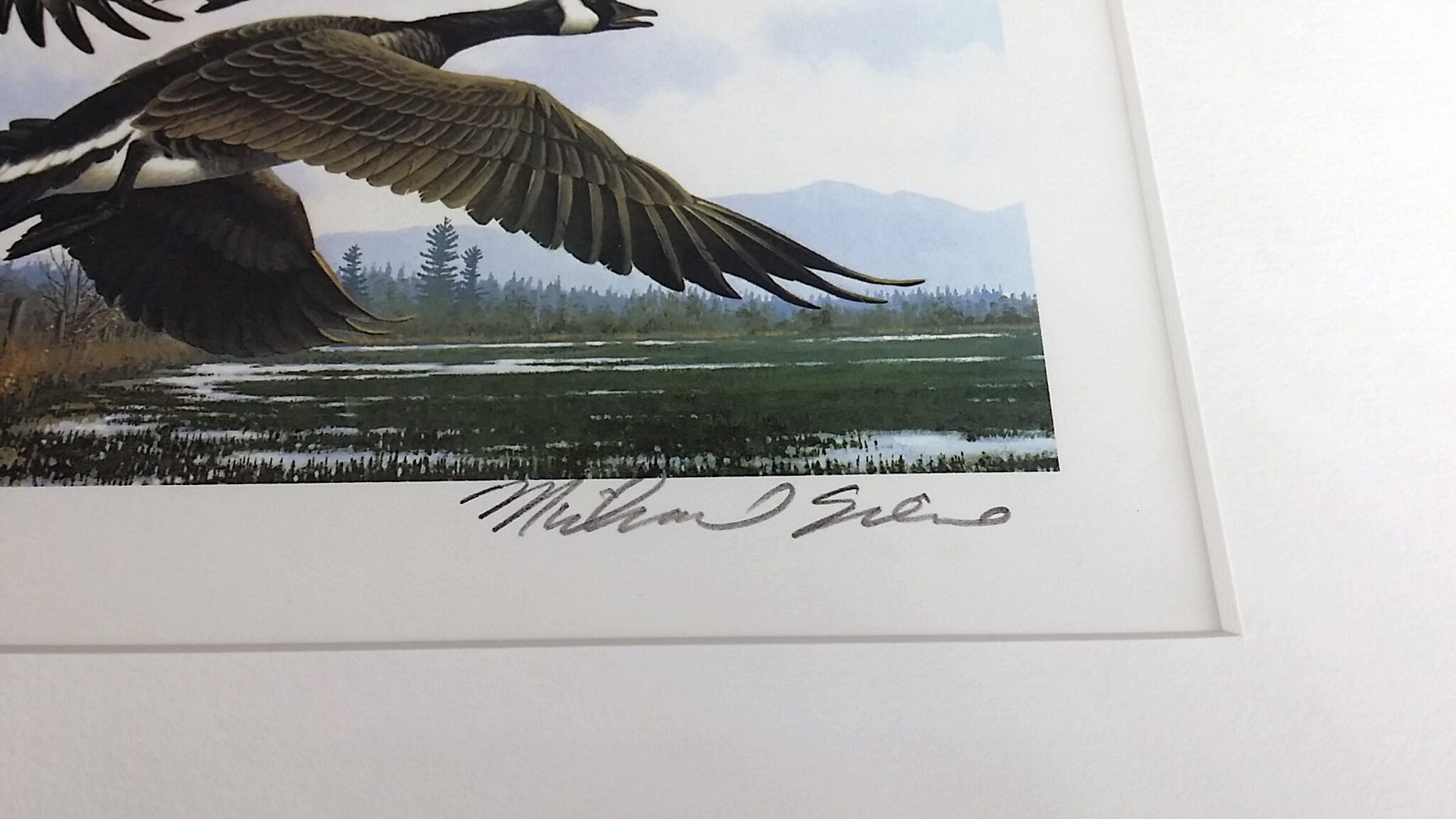 1984 Oregon Waterfowl Stamp Print Oregon Duck Stamp Print | Etsy