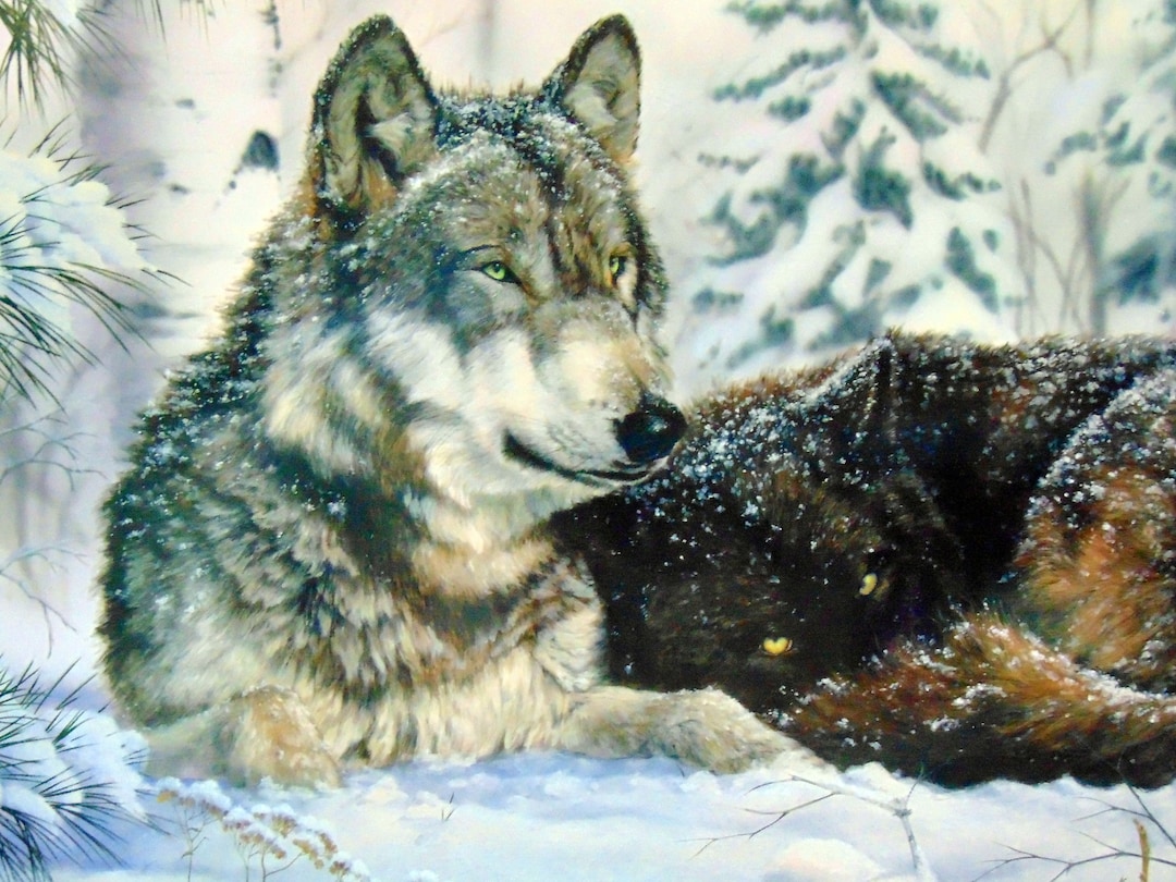 Wild Life Print With Timber Wolves, Wolf Print, Mark Dachlin Art ...