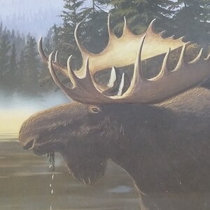 1991 National Parks Series Wildlife Print, Leo Stans Art, Summer ...