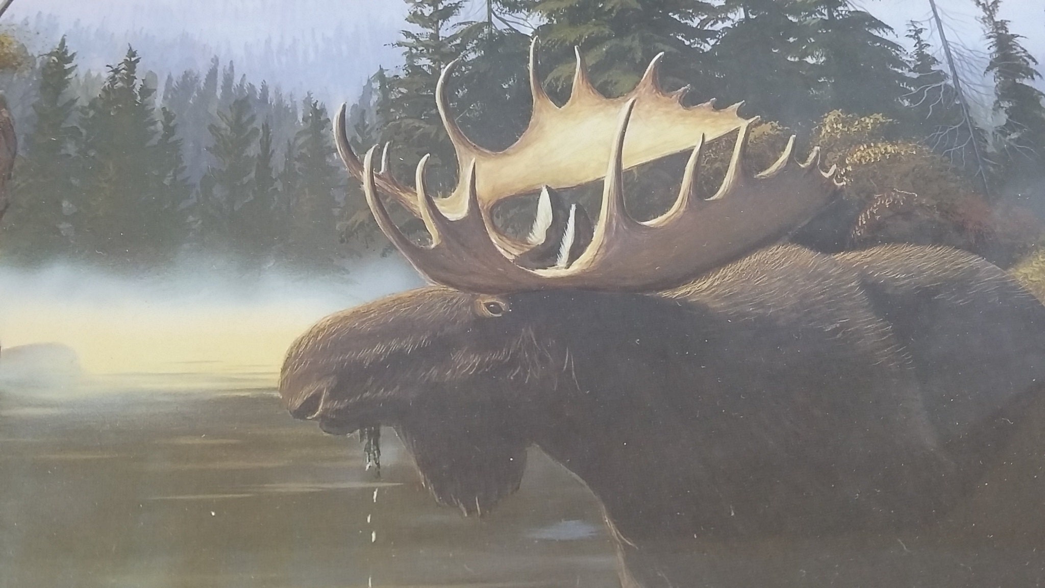 1991 National Parks Series Wildlife Print Leo Stans Art - Etsy