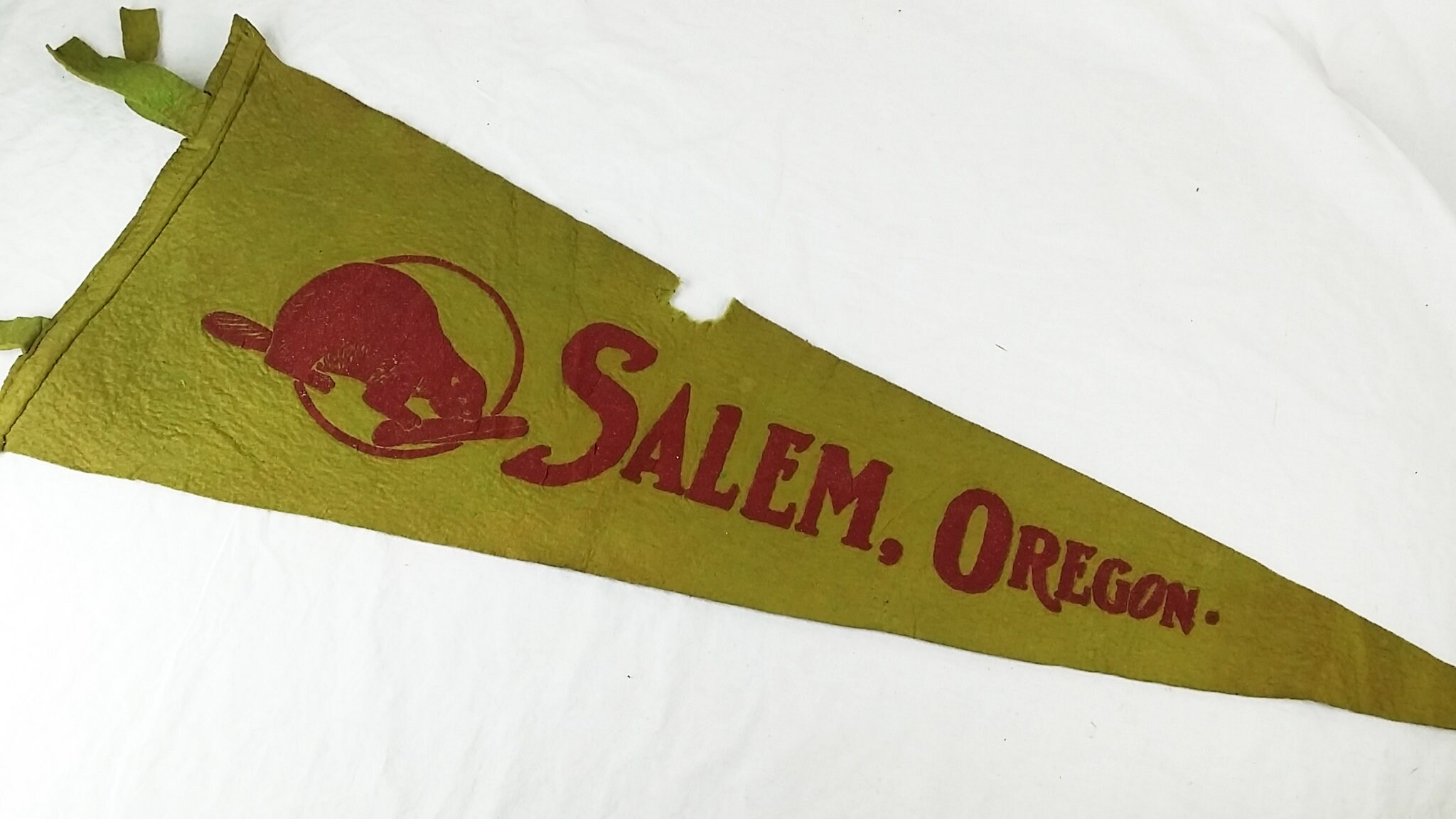 Vintage Felt 36 Inch Souvenir Pennant Salem Oregon Beaver | Etsy