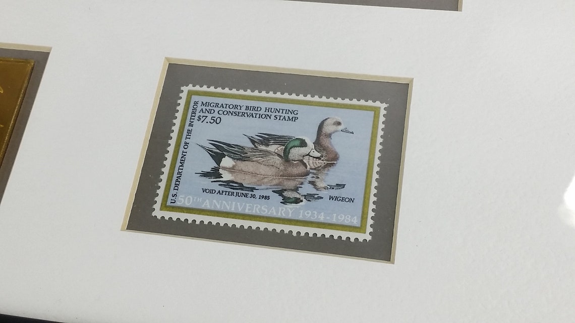50th Anniversary Federal Duck Stamp Print Duck Stamp Print | Etsy
