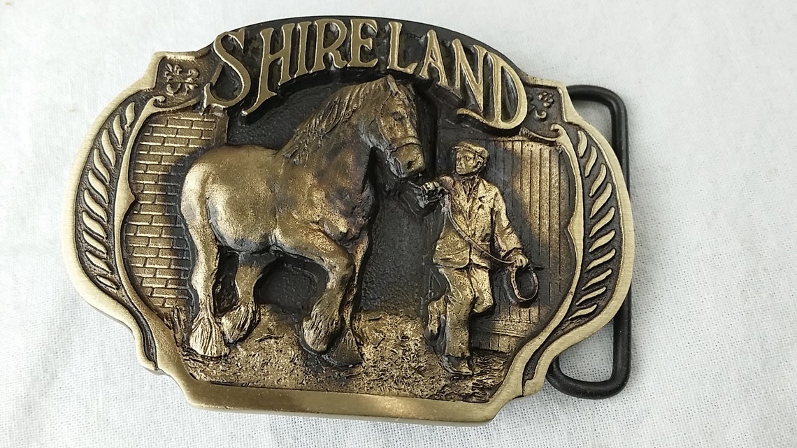 Shireland Theme Park Vintage Western Belt Buckle Chicago | Etsy