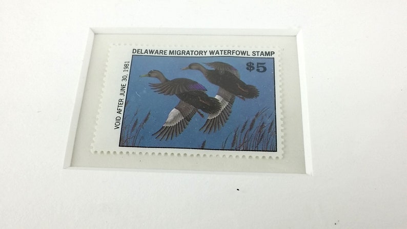 1981 Delaware Waterfowl Stamp Print, Delaware Duck Stamp Print, Ned ...