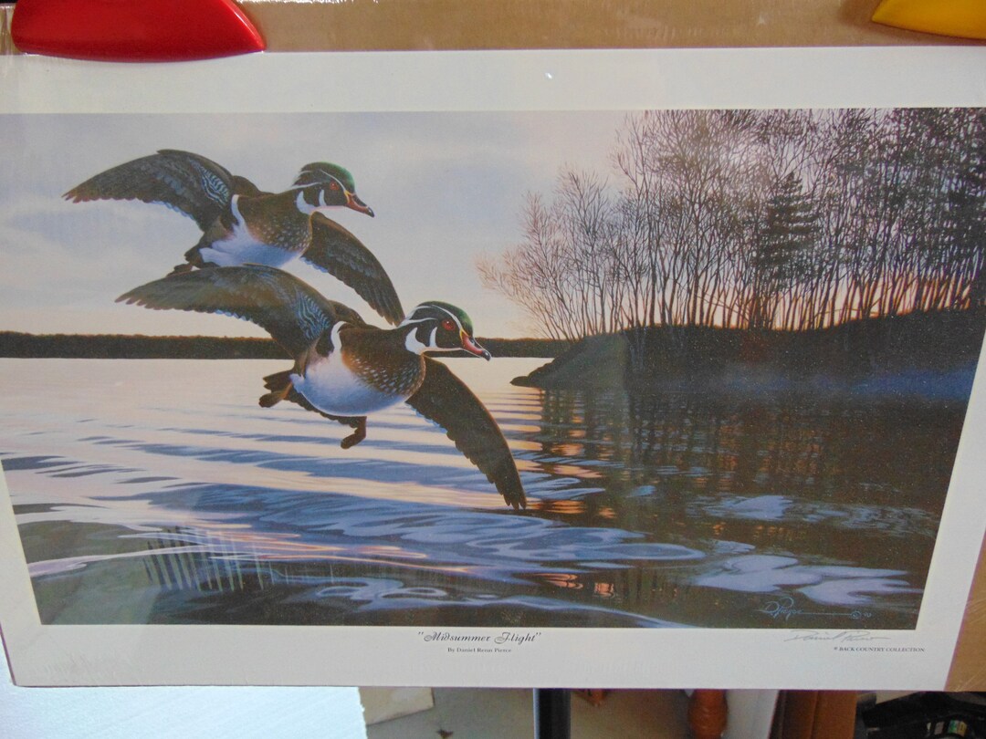 Duck Print by Daniel Renn Pierce, Daniel Renn Pierce Art, Duck Painting ...