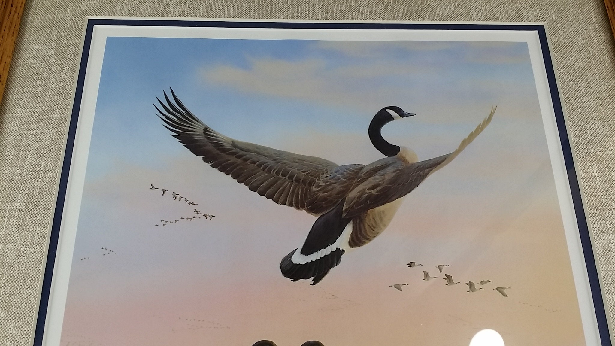 1991 National Parks Series Wildlife Print Leo Stans Art - Etsy