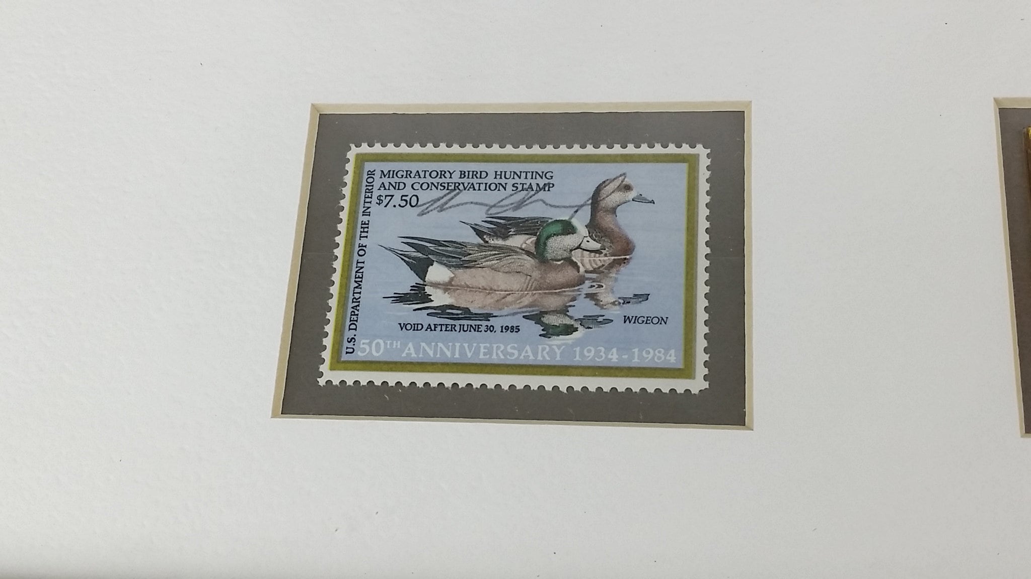 50th Anniversary Federal Duck Stamp Print Duck Stamp Print | Etsy