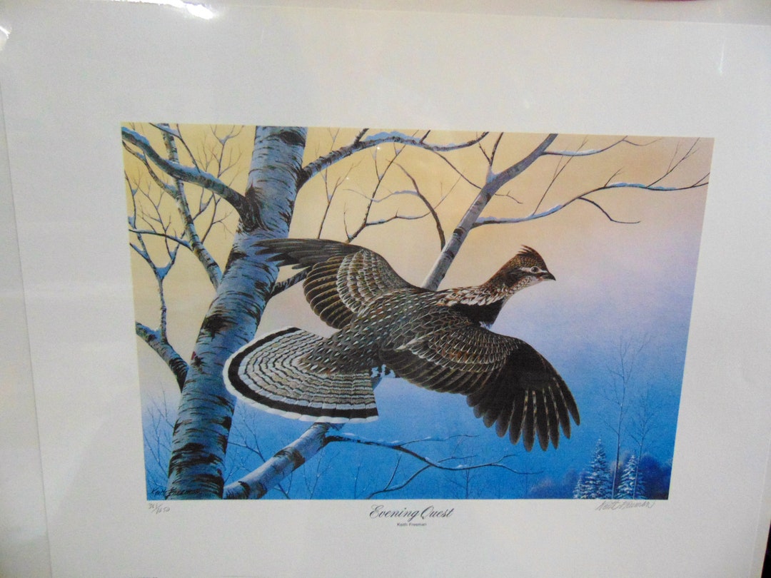 Ruffed Grouse Print, Keith Freeman Art, Evening Quest Print, Ruffed ...