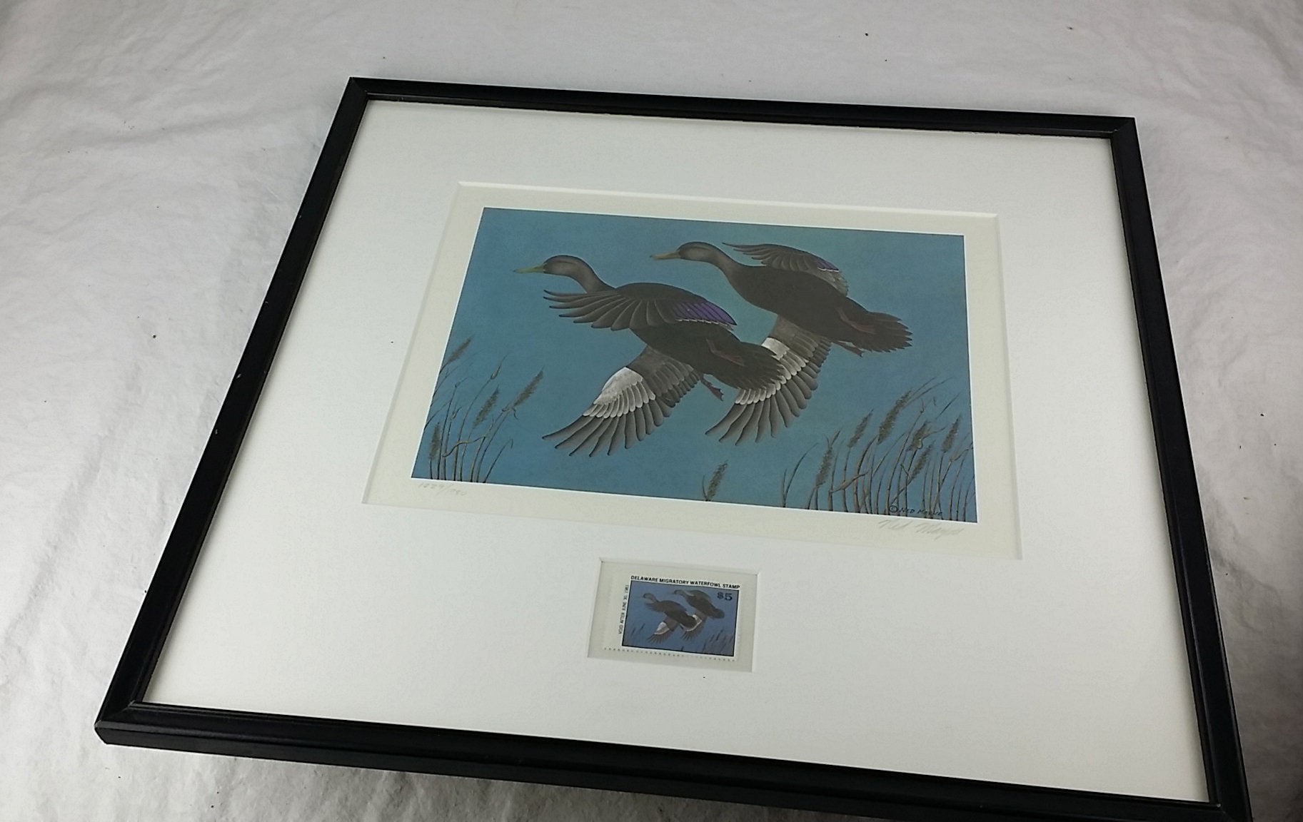1981 Delaware Waterfowl Stamp Print, Delaware Duck Stamp Print, Ned ...