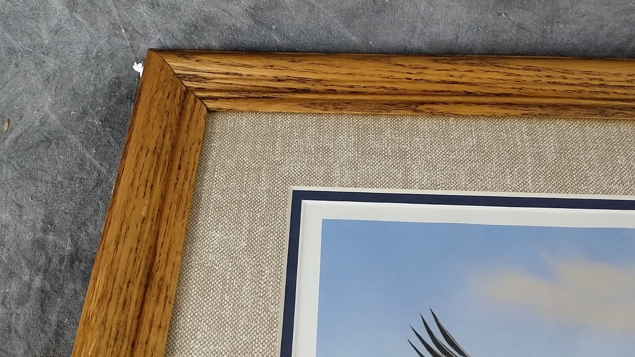 1991 National Parks Series Wildlife Print Leo Stans Art - Etsy