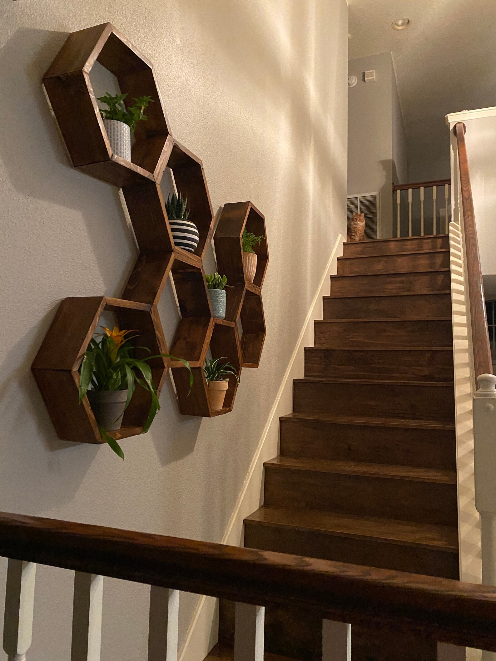 Custom Hexagonal Shelves - Etsy