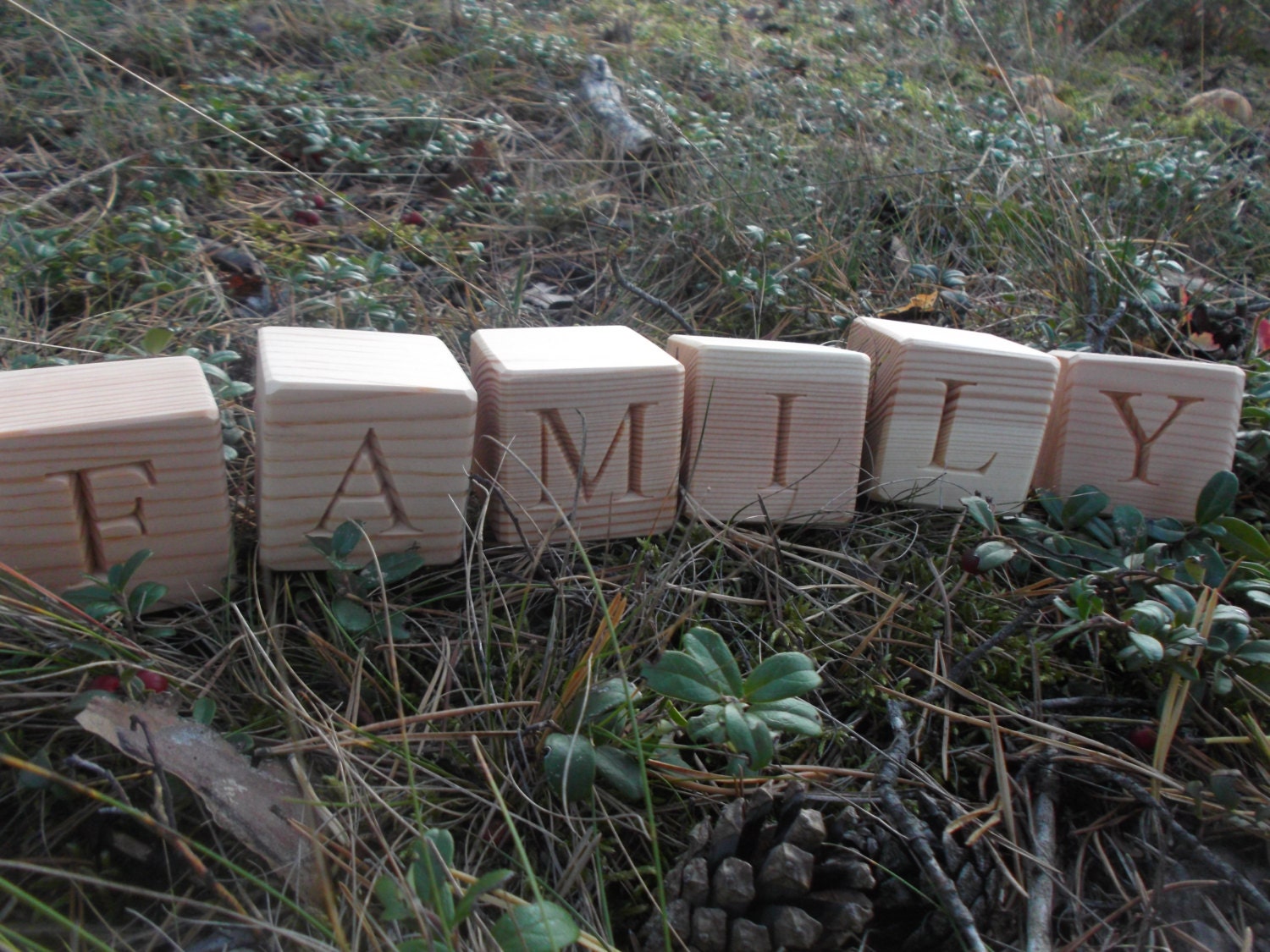 Personalized Wood Blocks Wooden Alphabet Blocks Wood Cubes Abc Etsy