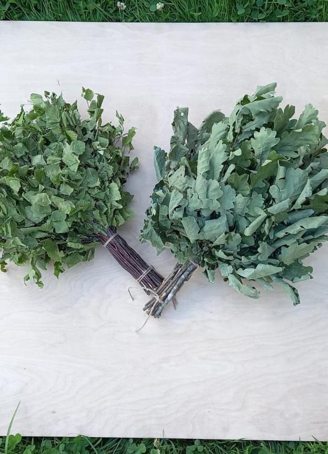 Set of 2 1 Birch Broom 1 Oak Broom, Natural Birch Sauna Whisk, Dried ...