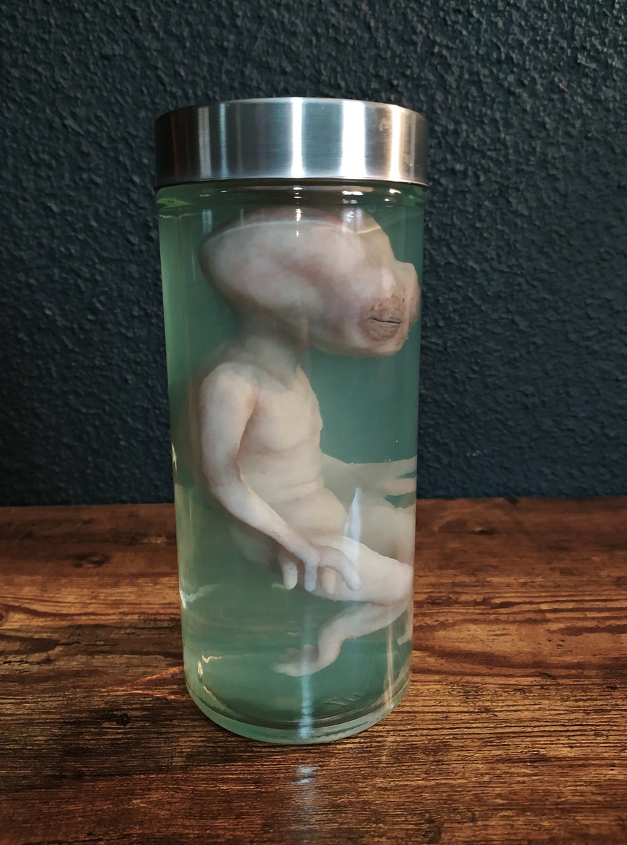 Project2oddities - Etsy