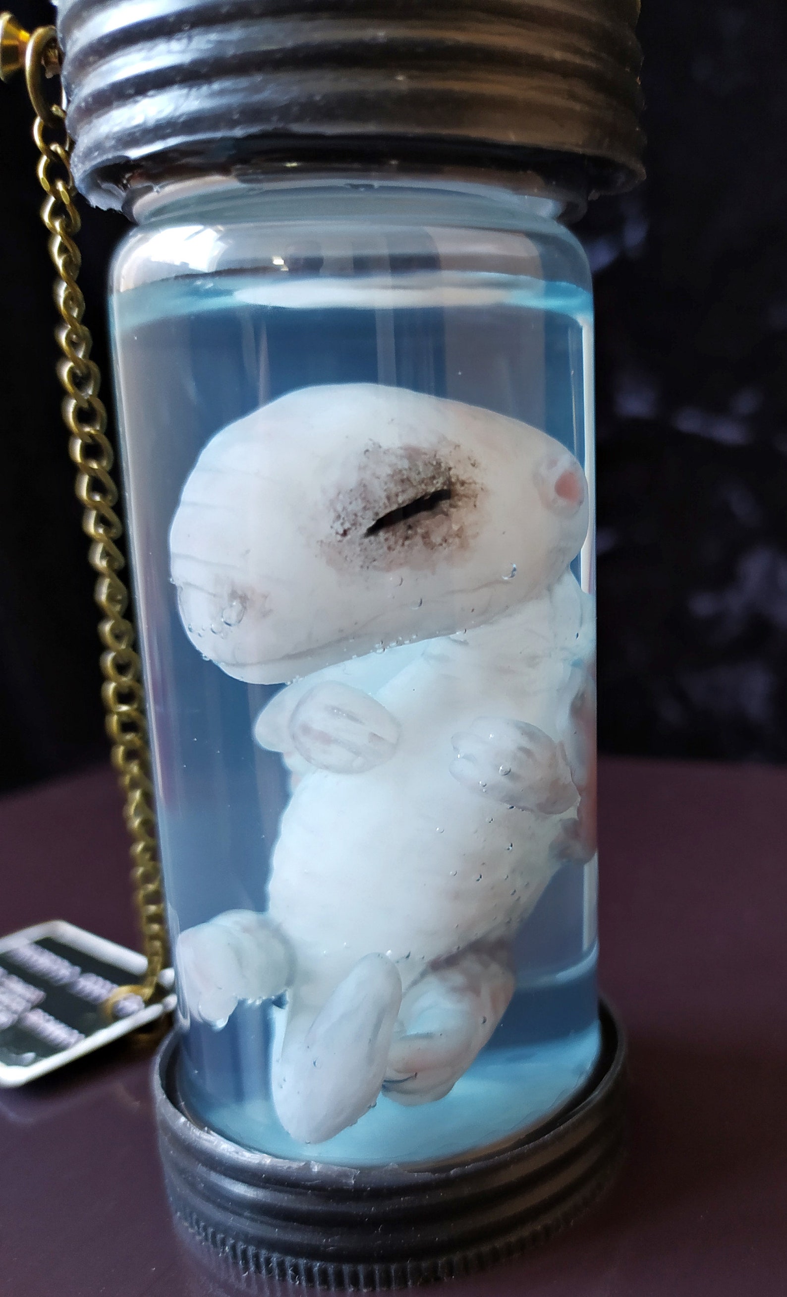 White Little Baby Dragon Fetus In Jar Foetus Test tube | Etsy