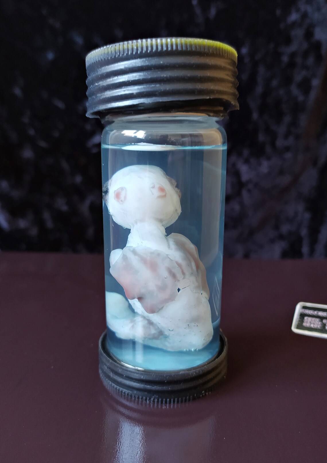 White Little Baby Dragon Fetus In Jar Foetus Test tube | Etsy