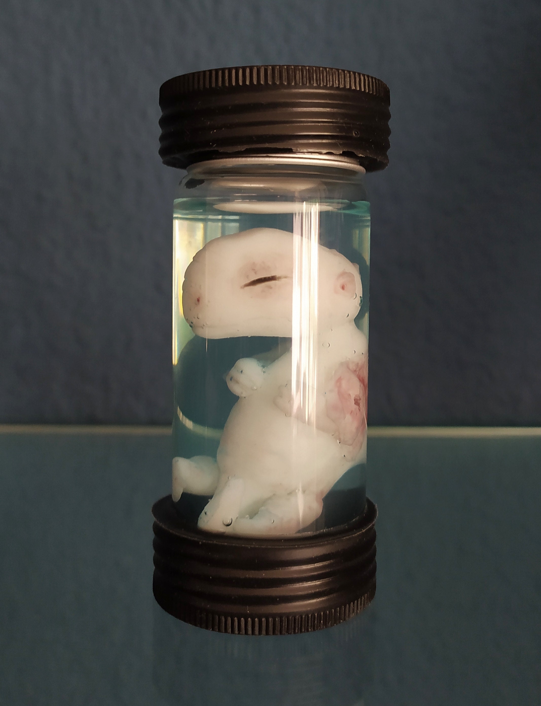Deformed Babies In Jars