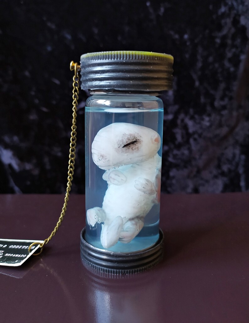 White Little Baby Dragon Fetus in Jar Foetus Test Tube - Etsy