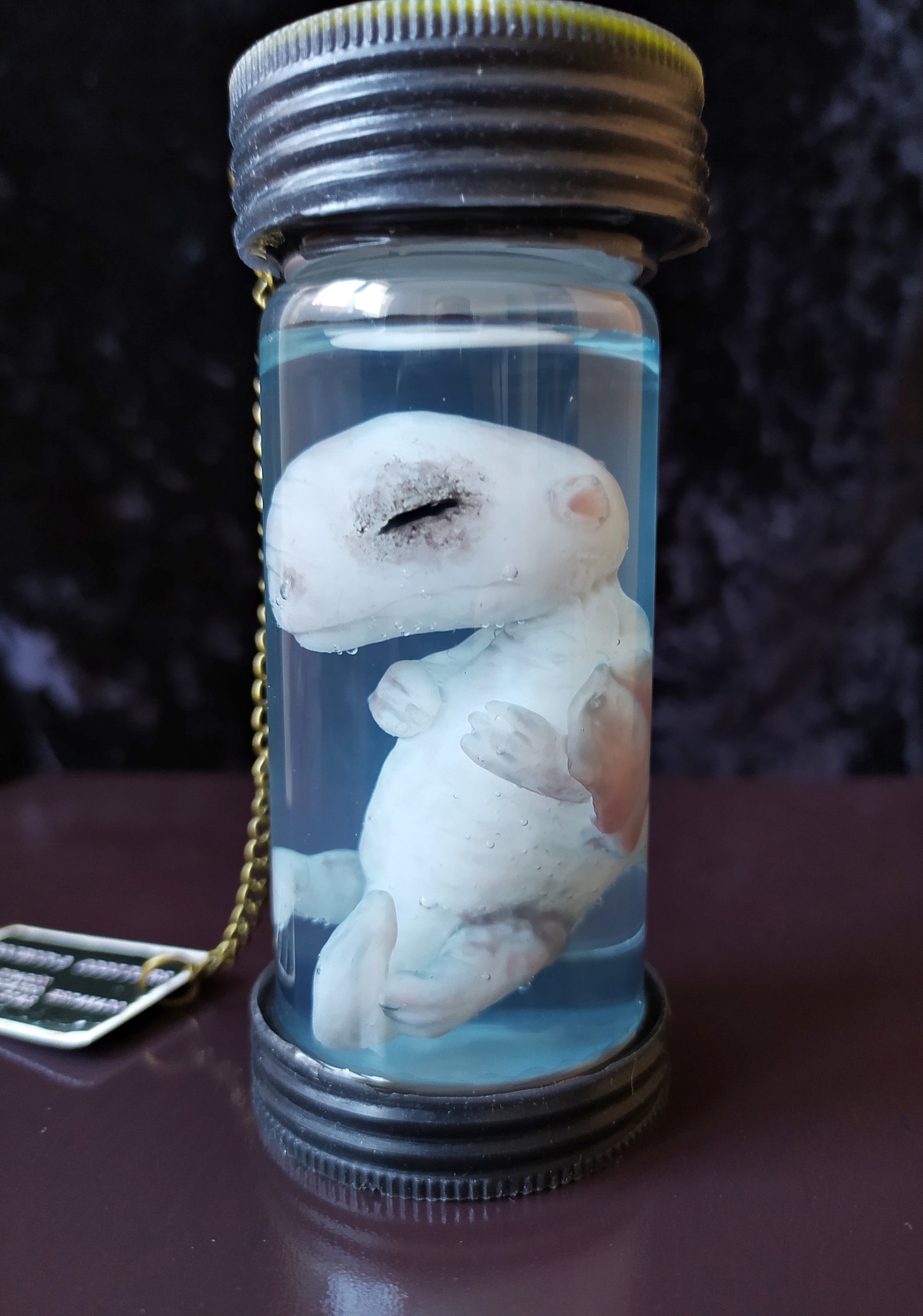 White Little Baby Dragon Fetus In Jar Foetus Test tube | Etsy