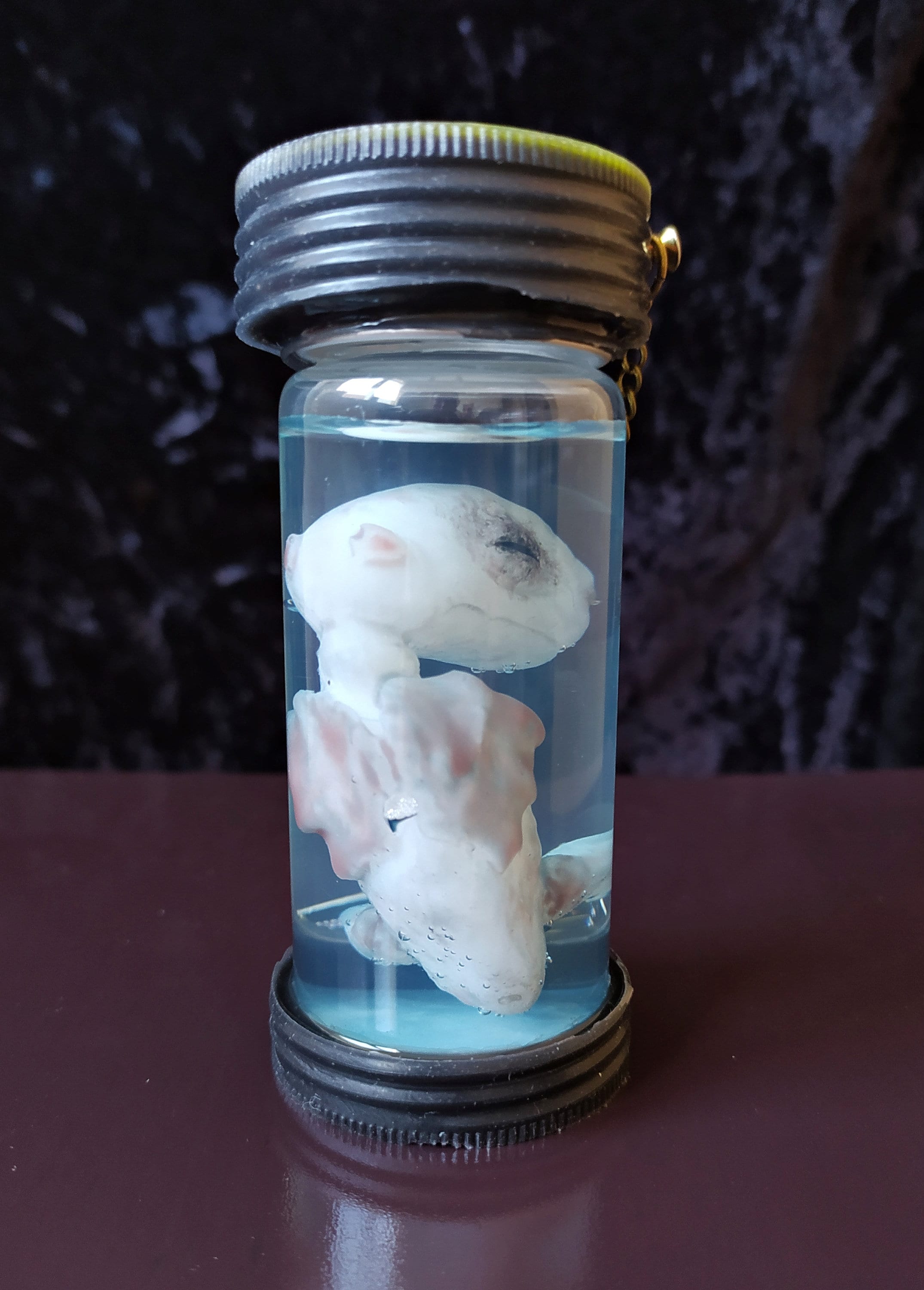 White Little Baby Dragon Fetus In Jar Foetus Test tube | Etsy