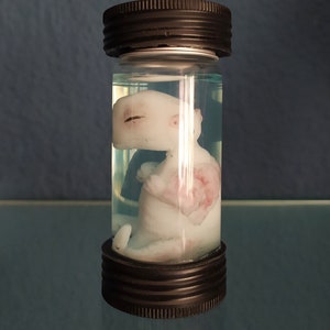 White Little Baby Dragon Fetus in Jar Foetus Test Tube Experiment ...