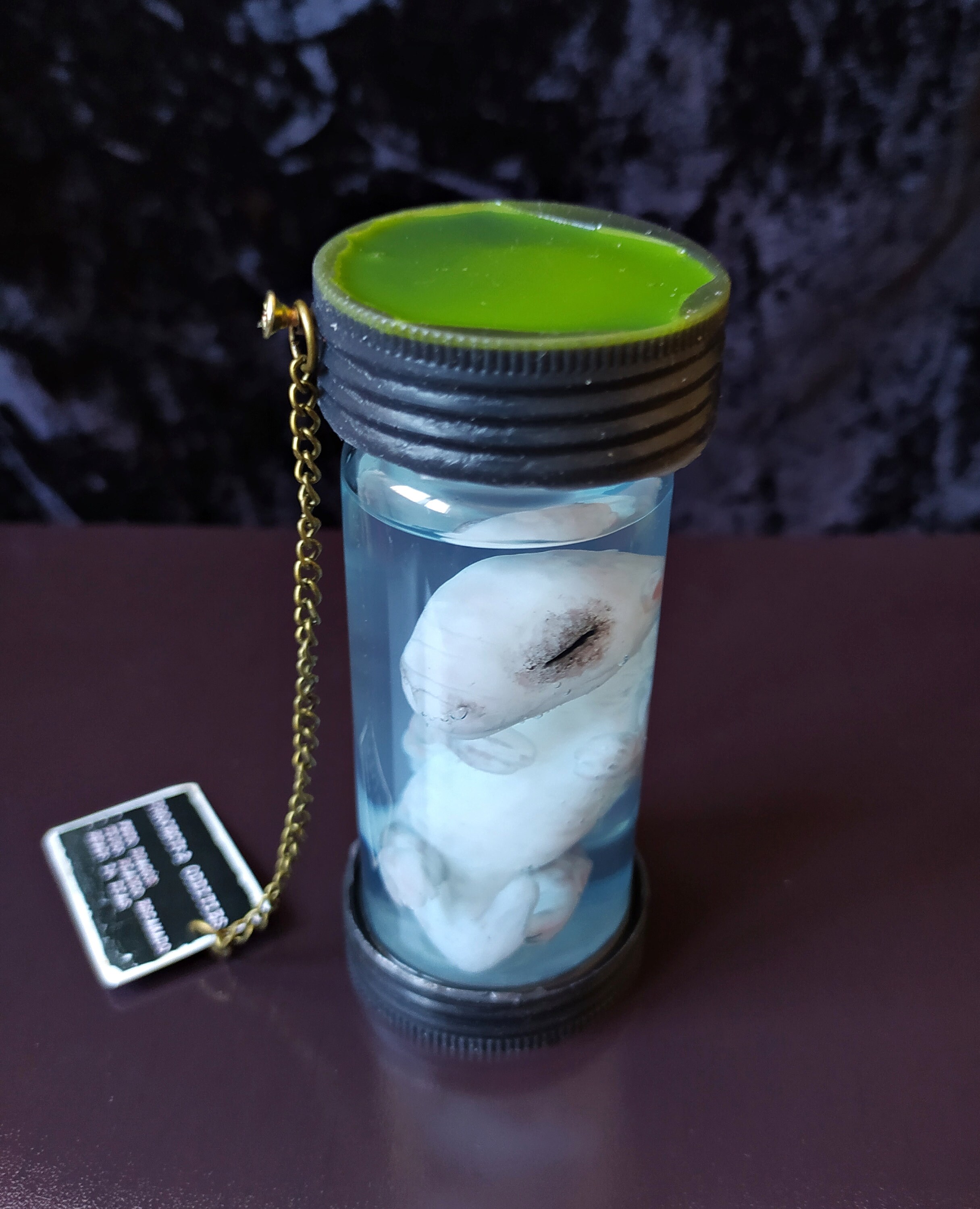 White Little Baby Dragon Fetus In Jar Foetus Test tube | Etsy