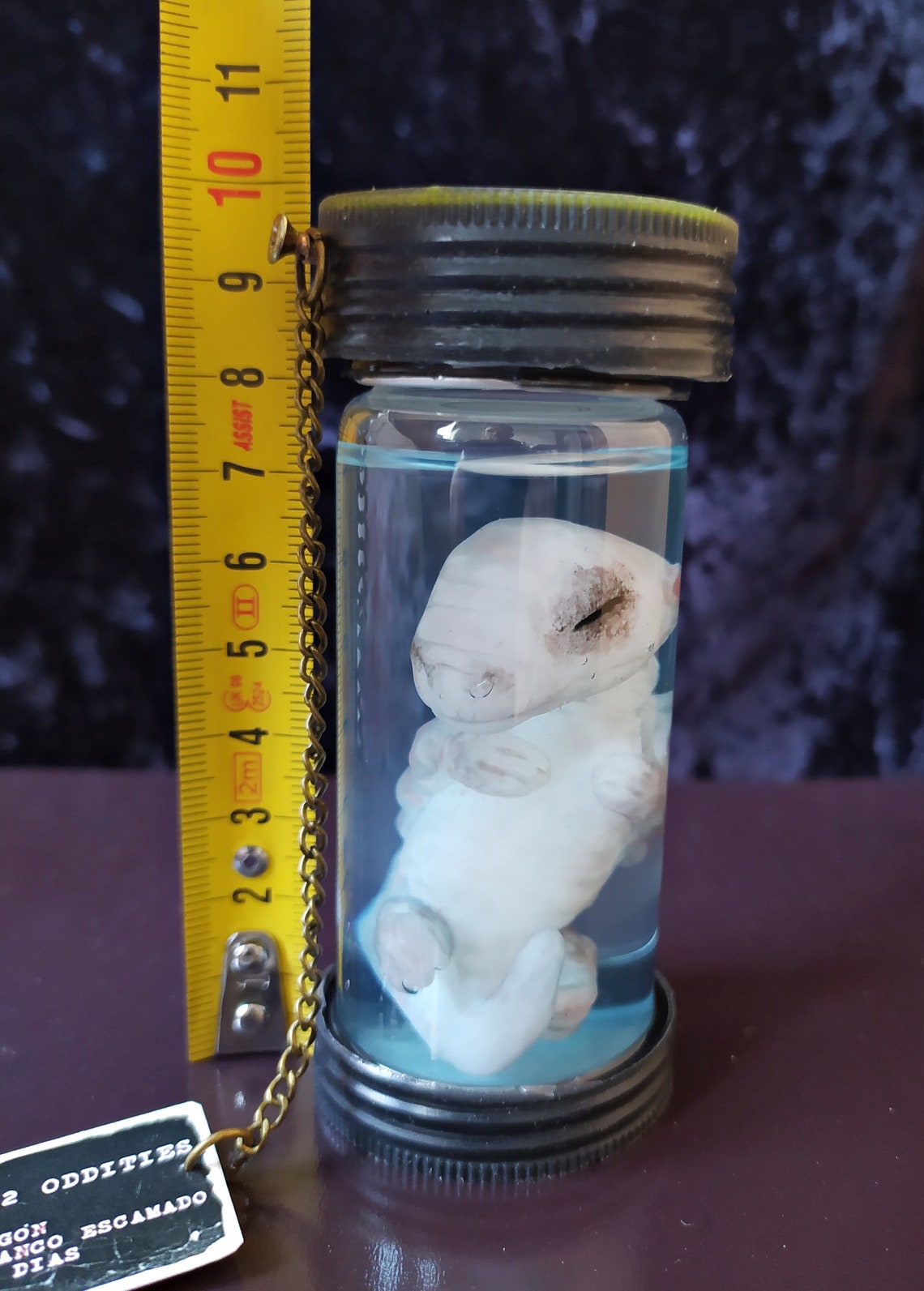 White Little Baby Dragon Fetus In Jar Foetus Test tube | Etsy