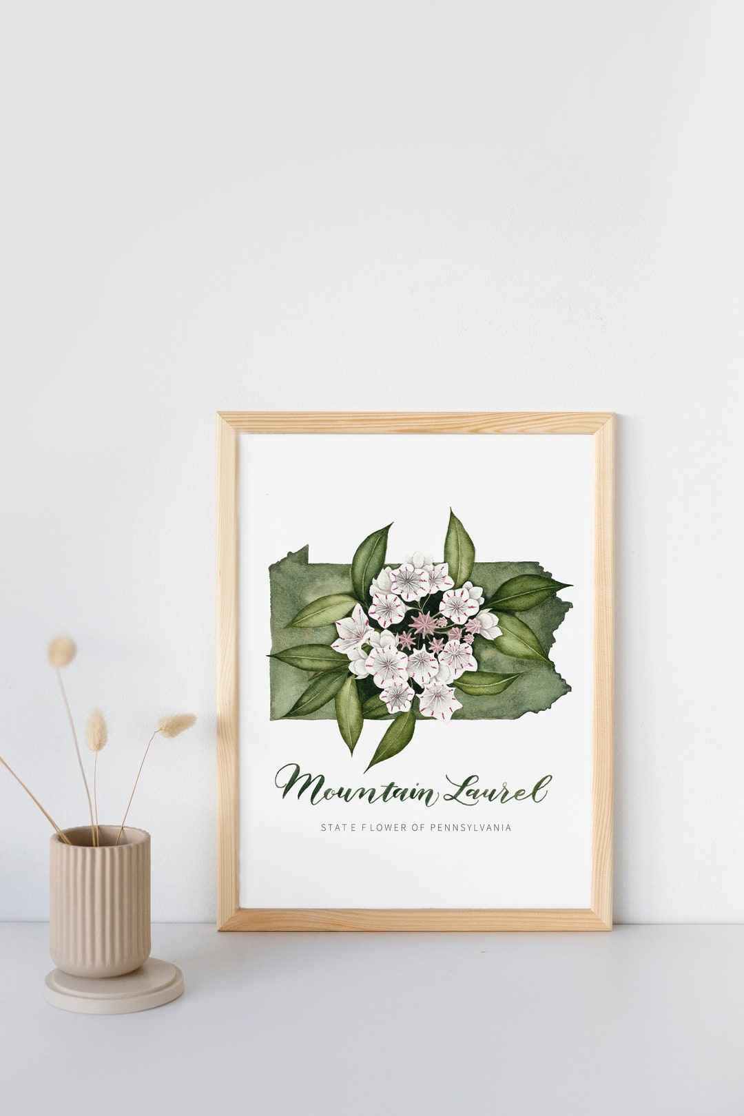 Pennsylvania State Flower and Shape | Mountain Laurel Watercolor and ...