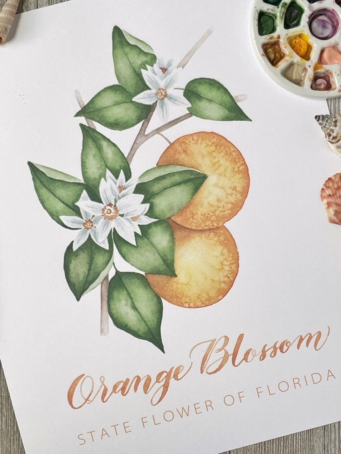 Florida Orange Blossom State Flower Watercolor Painting and - Etsy