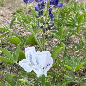 Texas Bluebonnets Lone Star State Shape Vinyl Sticker - Etsy