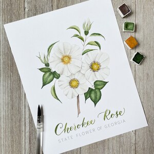 Georgia State Flower Print Cherokee Rose Watercolor Painting and ...