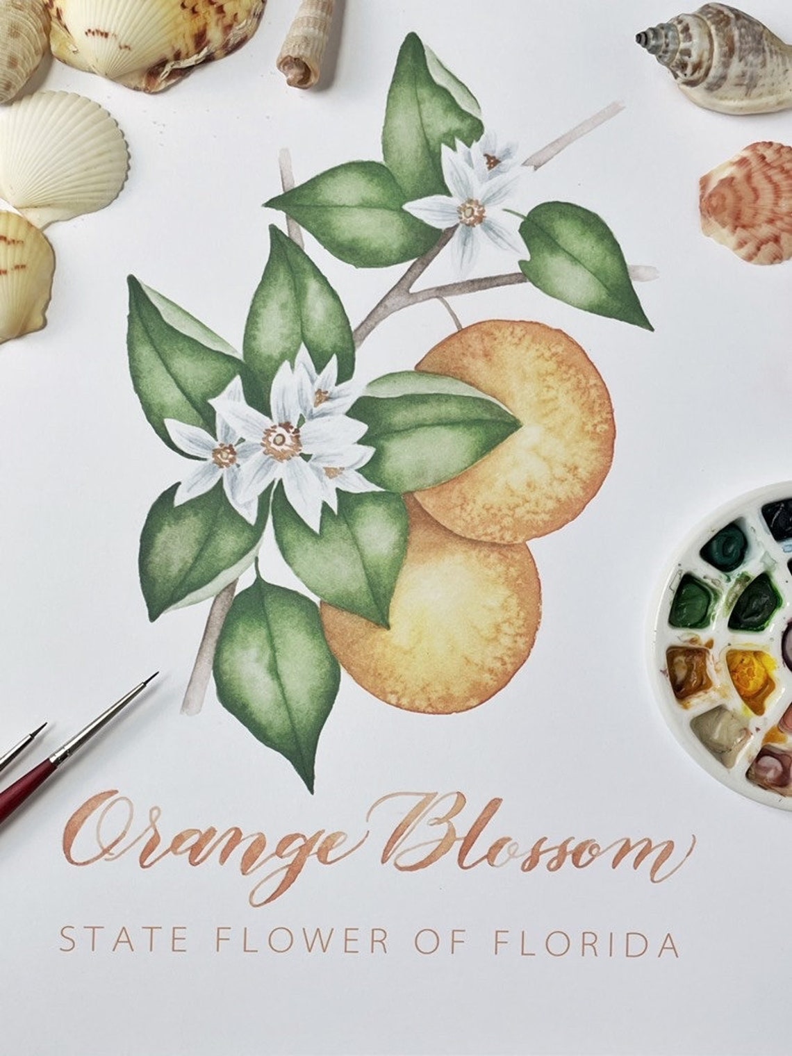 Florida Orange Blossom State Flower Watercolor Painting and - Etsy