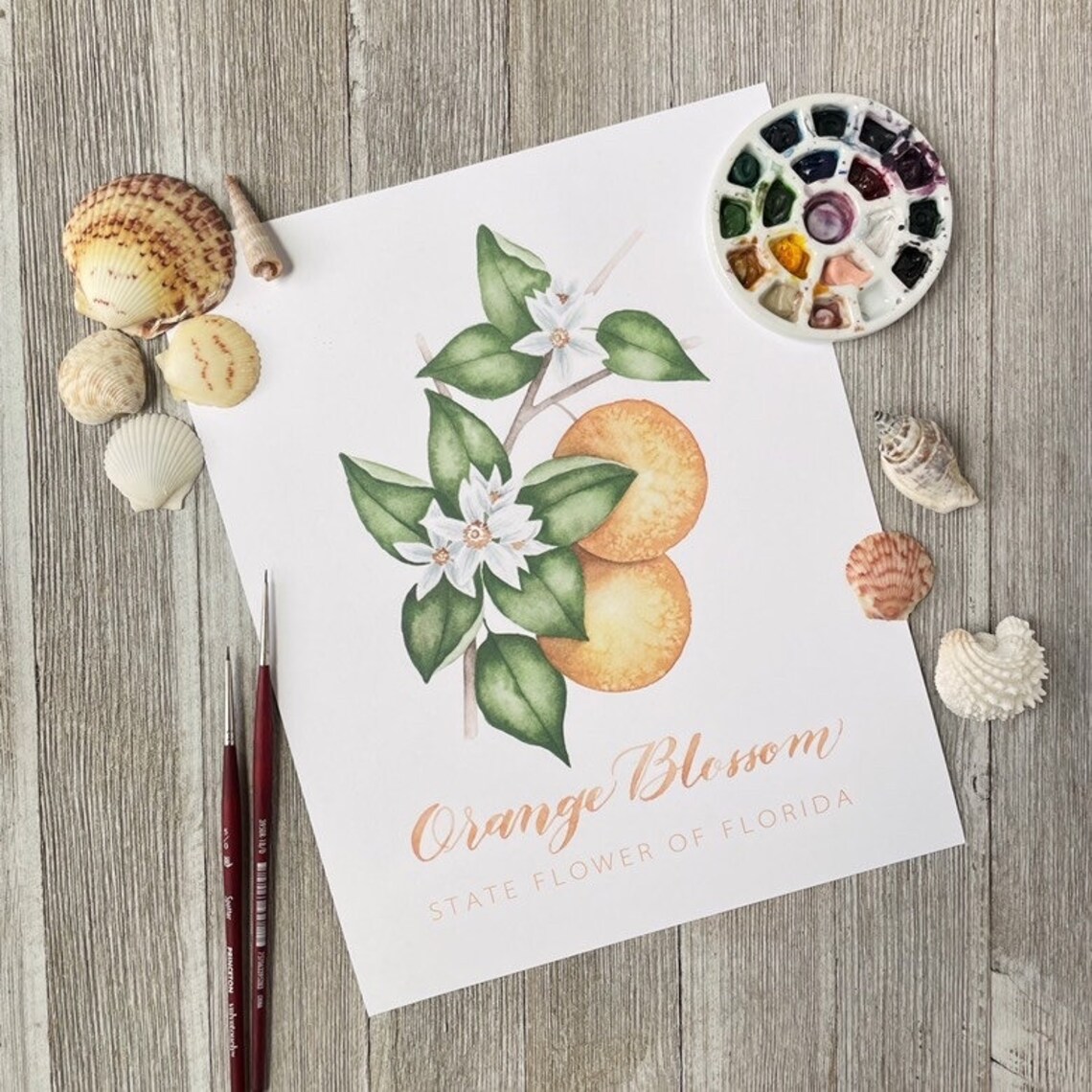 Florida Orange Blossom State Flower Watercolor Painting and - Etsy