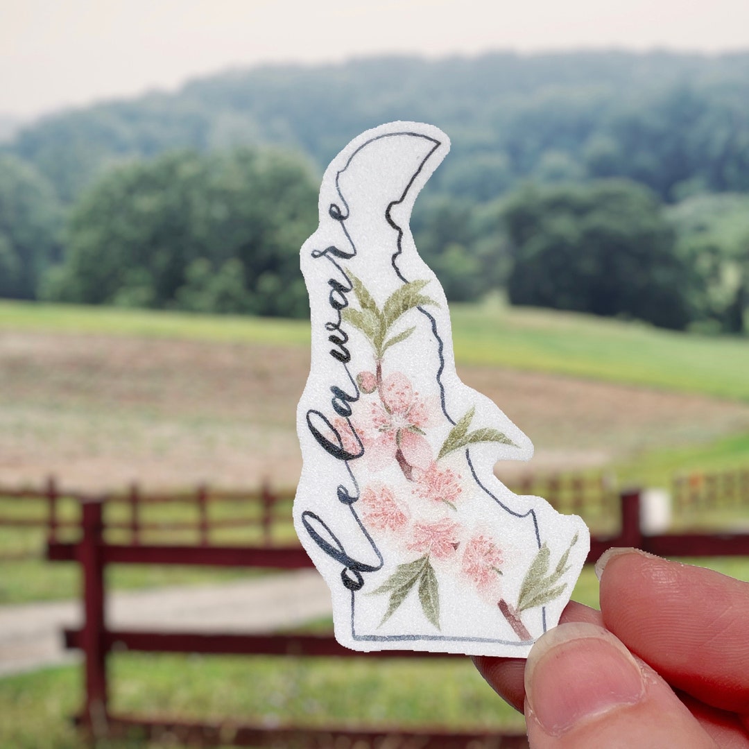 Delaware State Outline and Peach Blossom Matte Vinyl Waterproof Sticker ...