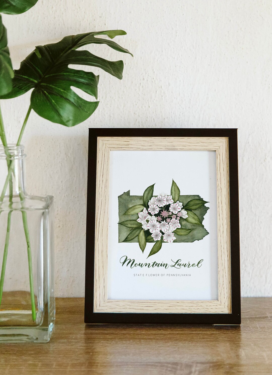 Pennsylvania State Flower and Shape Mountain Laurel - Etsy