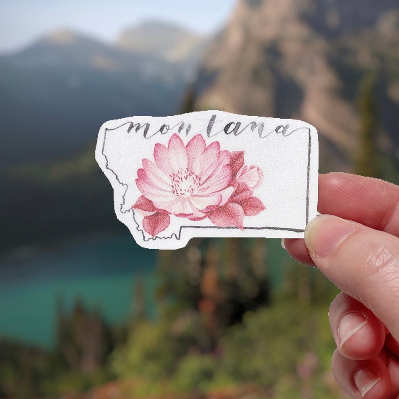 Bitterroot Flower - Etsy