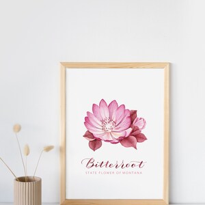 Montana State Flower and Shape Bitterroot Fine Art Watercolor Print - Etsy